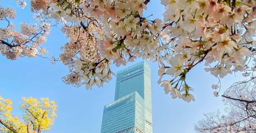 Osaka: Abeno Harukas 300 Observatory E-Ticket - Value for Money and Overall Impression