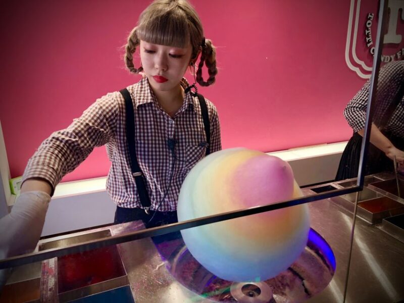 Osaka: Bespoke Family Friendly City Tour - Flexible Itinerary and Local Guidance