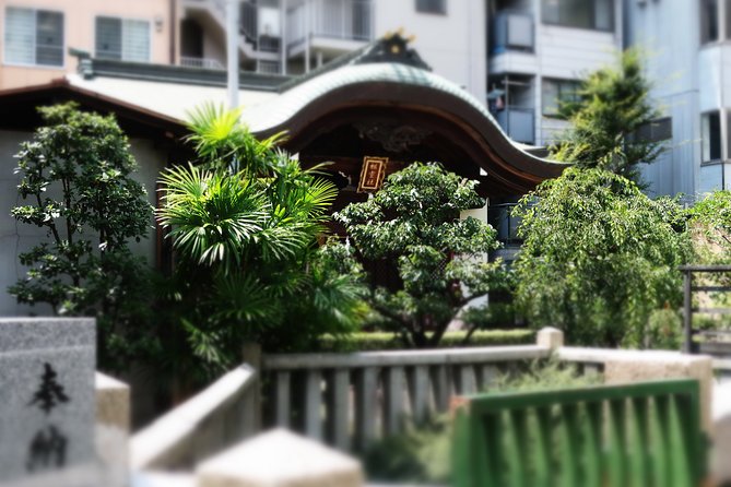 Osaka Castle and a Visit to the Longest Shopping Street in Japan - Navigating the Bustling Tenjinbashisuji Shopping Street