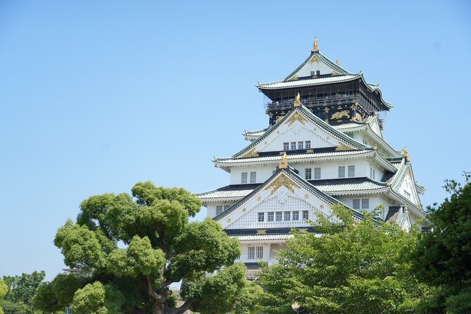 Osaka Castle Walking Tour - Traveler Reviews and Feedback