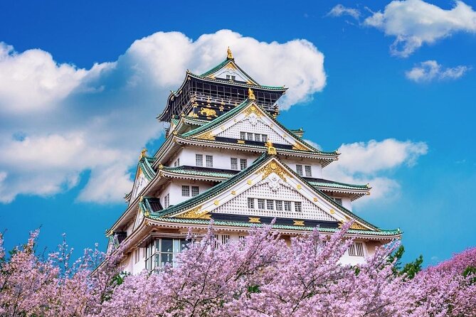 Osaka Cherry Blossom Tour With a Local: 100% Personalized Private - Included Features