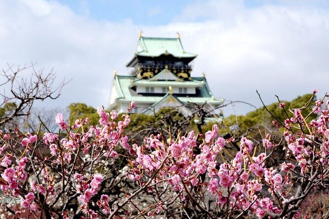 Osaka Cherry Blossom Tour With a Local: 100% Personalized Private - Accessibility and Participation