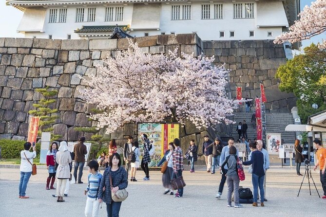 Osaka Cherry Blossom Tour With a Local: 100% Personalized Private - Reviews and Pricing