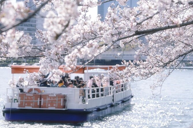 Osaka Cherry Blossom Tour With a Local: 100% Personalized Private - Explore Osakas Cherry Blossoms