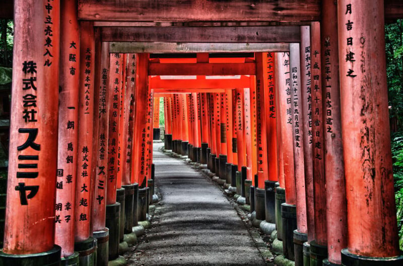 Osaka City English Private Tour Hotel Pickup Sightseeing - Kuromon Ichiba Market and Nipponbashi Denden Town
