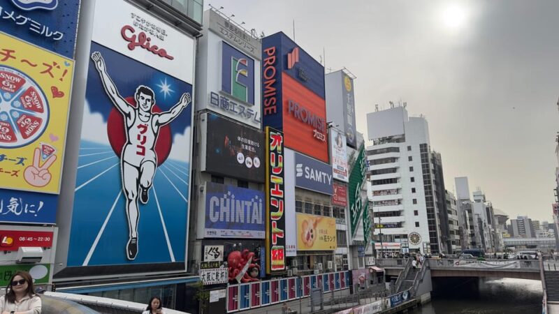 Osaka City Highlights One Day Private Tour - Tour Features