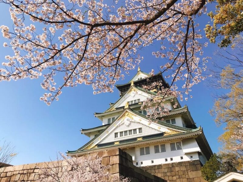 Osaka Classic Private Car Tour With Hotel Pickup - Tour Inclusions