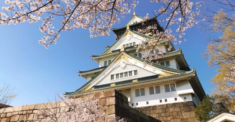 Osaka Classic Private Car Tour With Hotel Pickup - Important Information and Recommendations