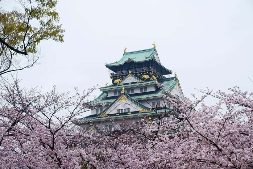 Osaka: Customizable Private Tour with Local Guide - Full day - The Sum Up