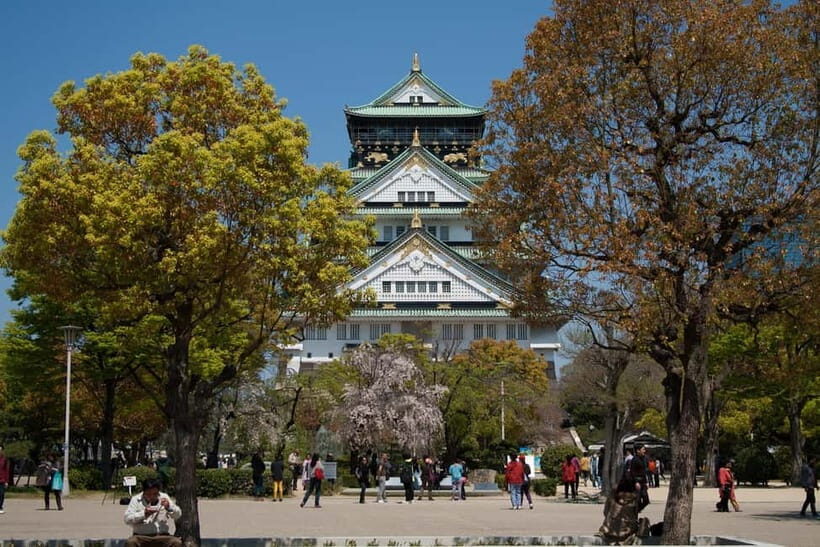 Osaka: Customizable Private Tour with Local Guide - Why Choose a Custom Tour?