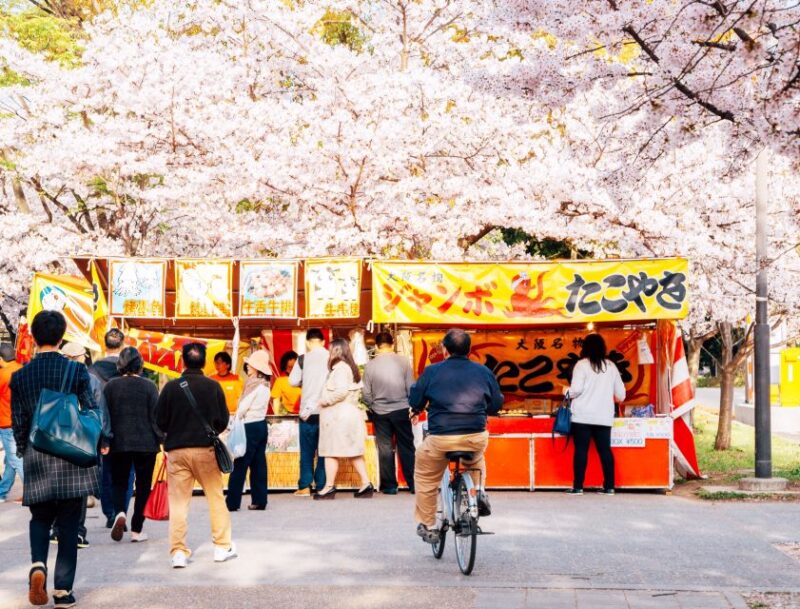 Osaka: Daytime Hanami (Cherry Blossom) and Food Tour - Key Points