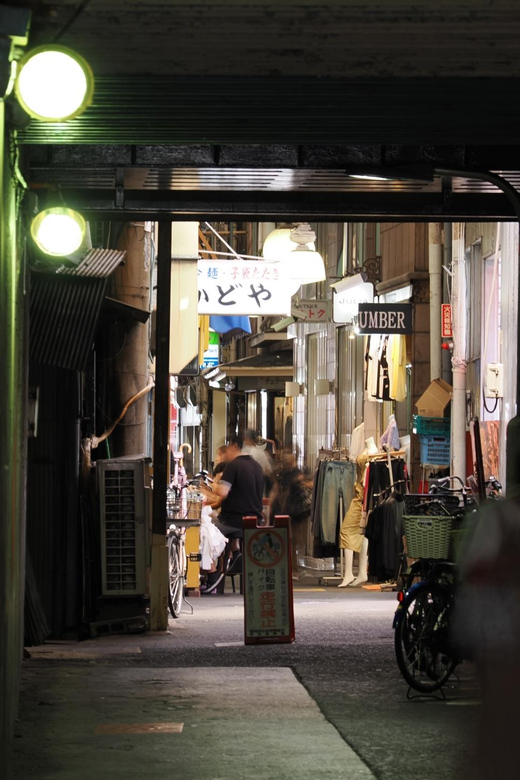 Osaka: Discover Iconic Sights and Hidden Gems - Private Group Option: Customized Experiences