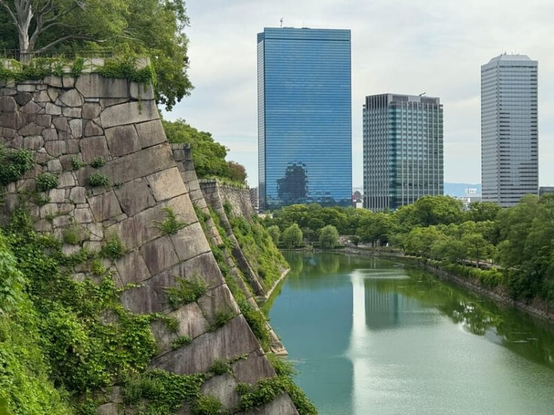 Osaka: Explore Every Bit of Osaka Castle in 3 Hours - Accessibility and Group Options