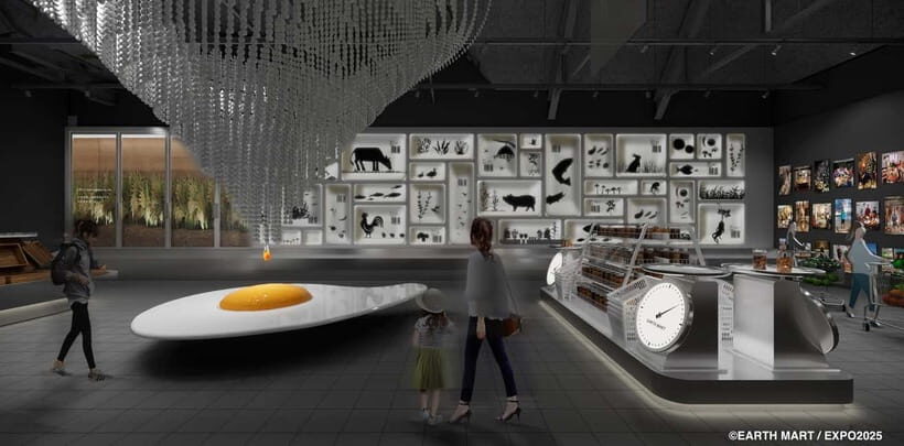 Osaka: Expo 2025 Admission Ticket - Practical Tips for Visiting