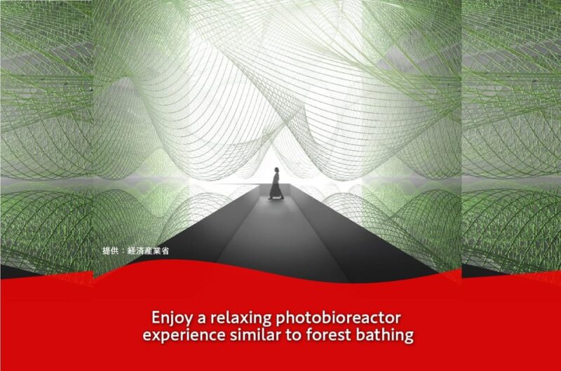 Osaka: Expo 2025 Osaka, Kansai, Japan Admission Ticket - Logistics and Accessibility