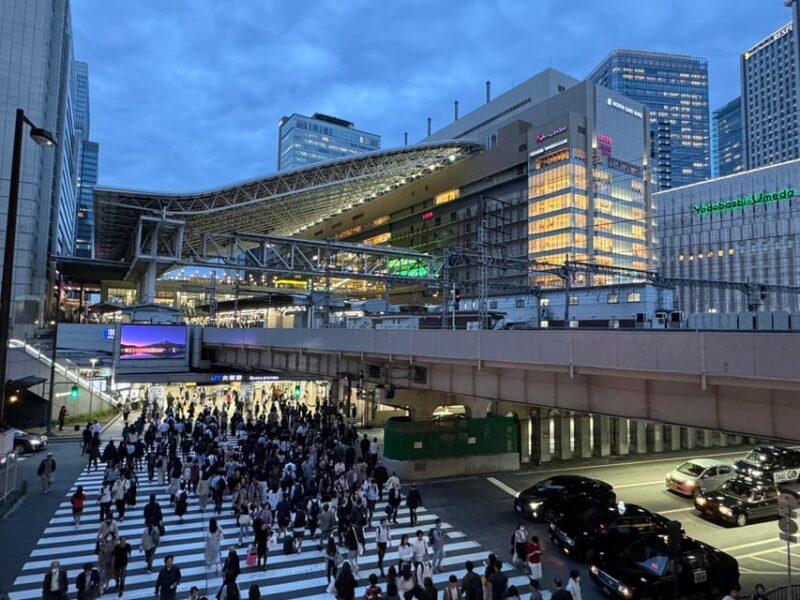 Osaka: Food & Bar Hopping Tour - Secrets of Osaka Station and Umeda