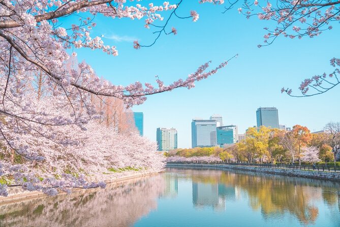 Osaka Full Day Private Customizable Tour - Inclusions