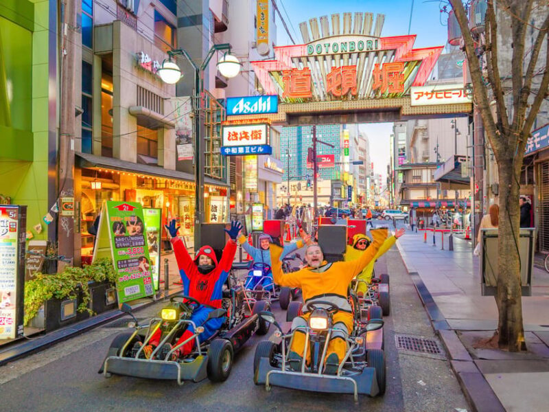 Osaka: Guided Go Karting Tour in a Funny Costume - Key Points
