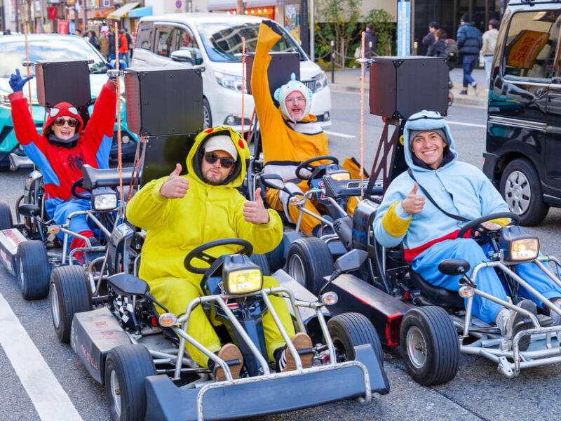 Osaka: Guided Go Karting Tour in a Funny Costume - Experience Highlights