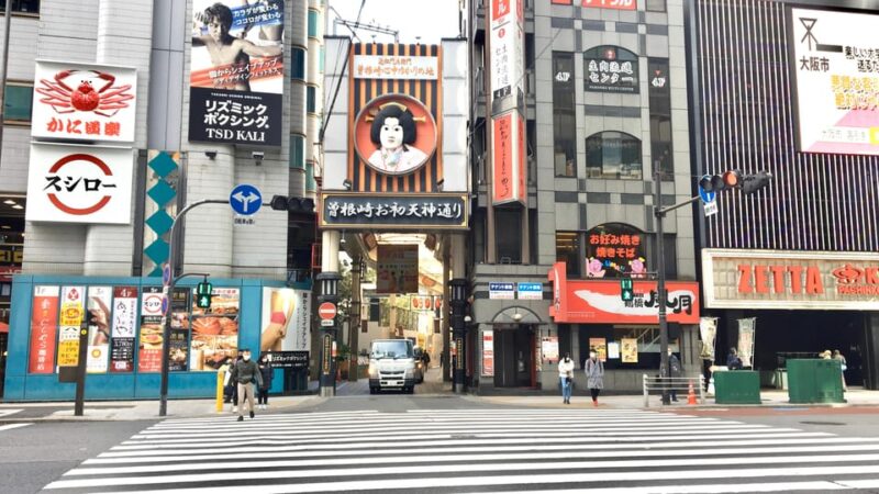 Osaka: Half-Day Private Guided Tour of Kita Modern City - Accessibility and Language Options