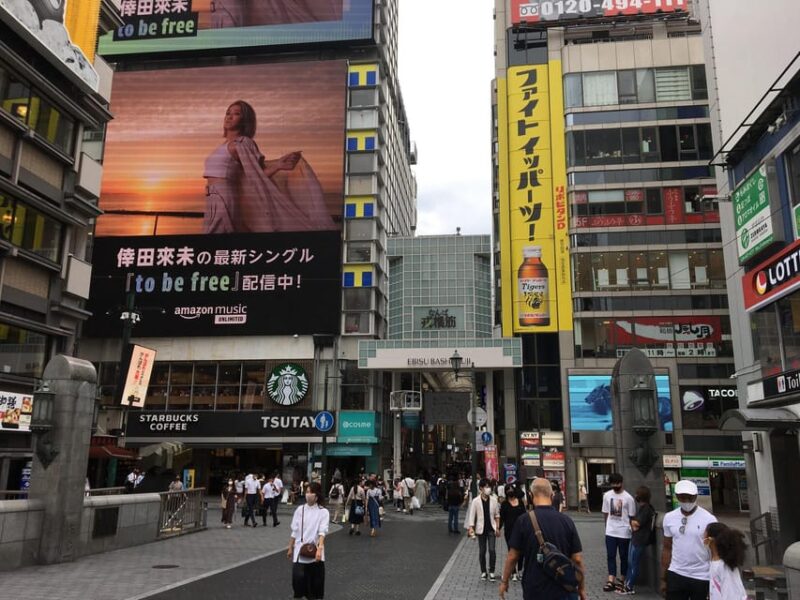 Osaka: Half-Day Private Guided Tour of Minami Modern City - Experience Highlights