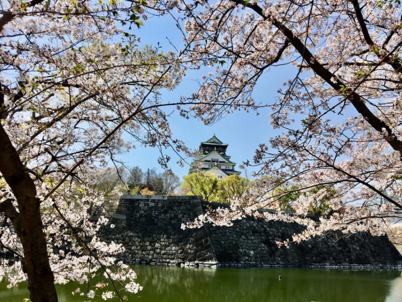 Osaka: Half-Day Private Guided Tour of the Castle - Historical Significance