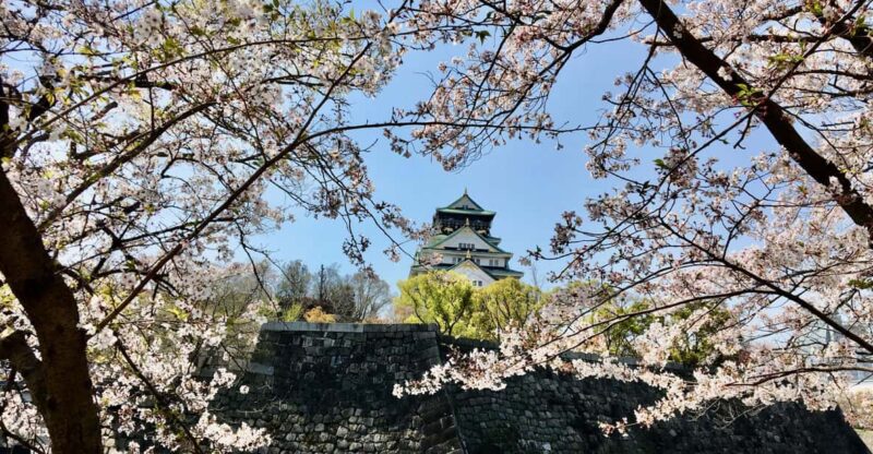 Osaka: Half-Day Private Guided Tour of the Castle - Pickup and Drop-off Locations