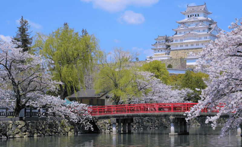 Osaka: Himeji Castle, Arima Onsen & Mt. Rokko 1-Day Bus Tour - Himeji Castle: A Breathtaking Sight