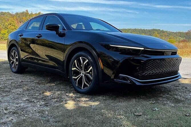 Osaka Kansai Airport (KIX) to Osaka hotels - Round-Trip Private Transfer - Who Should Consider This Service?