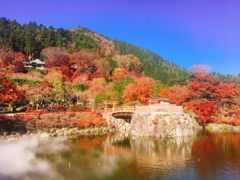 Osaka: Katsuo-ji Temple Autumn Leaves Guided Tour - Itinerary Details