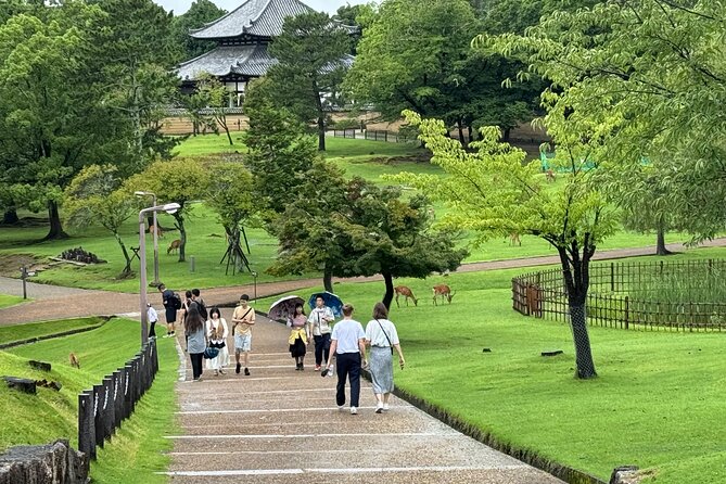 Osaka/Kyoto and Nara Private Tour With English Speaking Guide - Tour Logistics