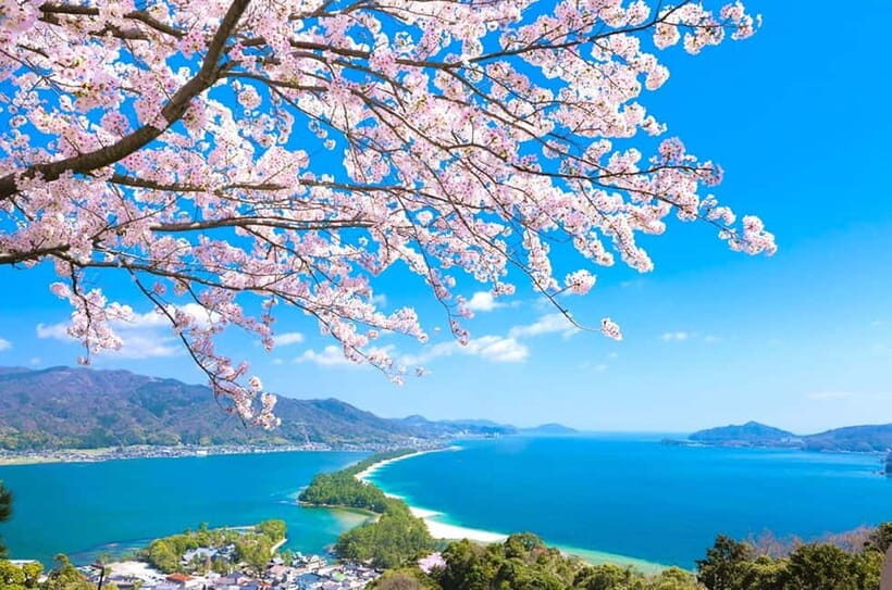 Osaka: Kyoto By The Sea with Amanohashidate & Ine no Funaya - Who Should Consider This Tour?