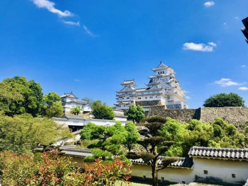 Osaka/Kyoto: Himeji Castle, Kobe. Luxury Day Trip With Guide - Key Points