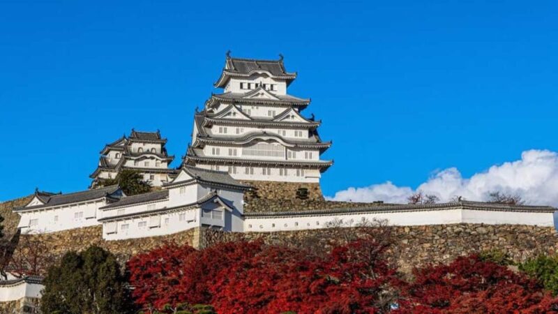 Osaka/Kyoto: Himeji Castle, Kobe. Luxury Day Trip With Guide - Relaxing at Arima Onsen