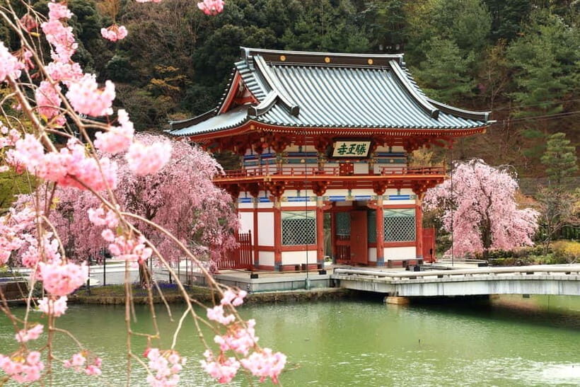 Osaka/Kyoto: Katsuoji, Kinkakuji, Arashiyama 1-Day Bus Tour - Who This Tour Is Best For
