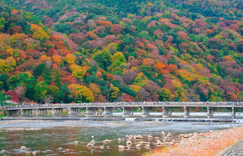 Osaka/Kyoto: Katsuoji, Kinkakuji, Arashiyama 1-Day Bus Tour - The Sum Up