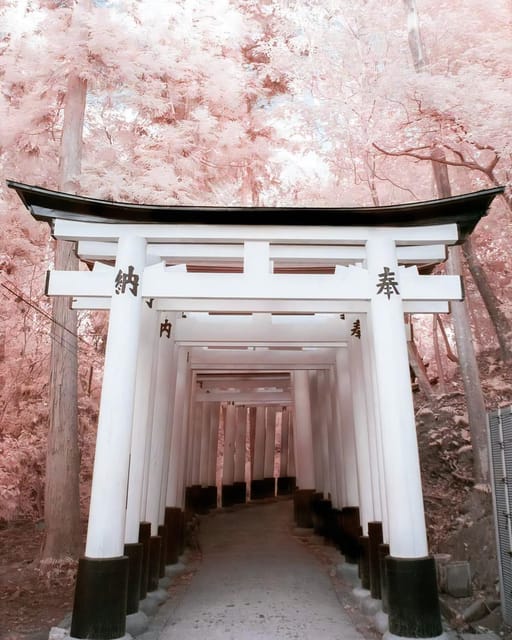 Osaka/Kyoto/Nara Customized Tour With English-Speaking Guide - Frequently Asked Questions