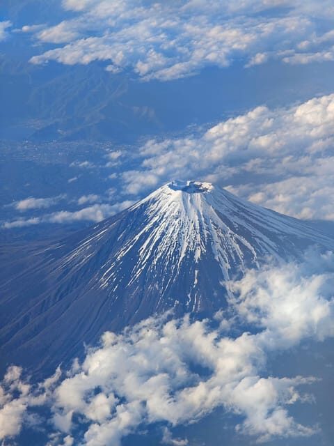 Osaka/Kyoto/Nara: Private Full-Day Sightseeing Tour - Key Points