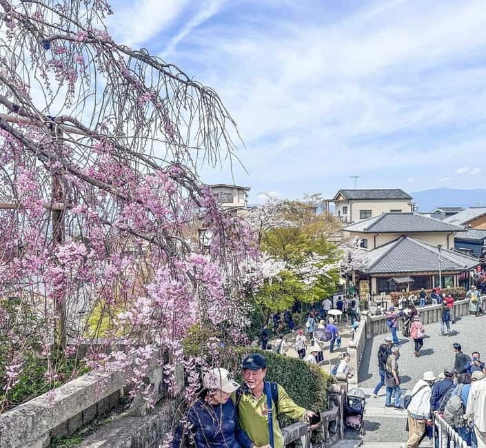 Osaka/Kyoto/Nara: Private Full-Day Sightseeing Tour - A Closer Look at the Tour