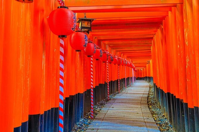 Osaka & Kyoto & Nara Top Hightlights English Speaking Tour - Traveler Feedback: Positive Highlights