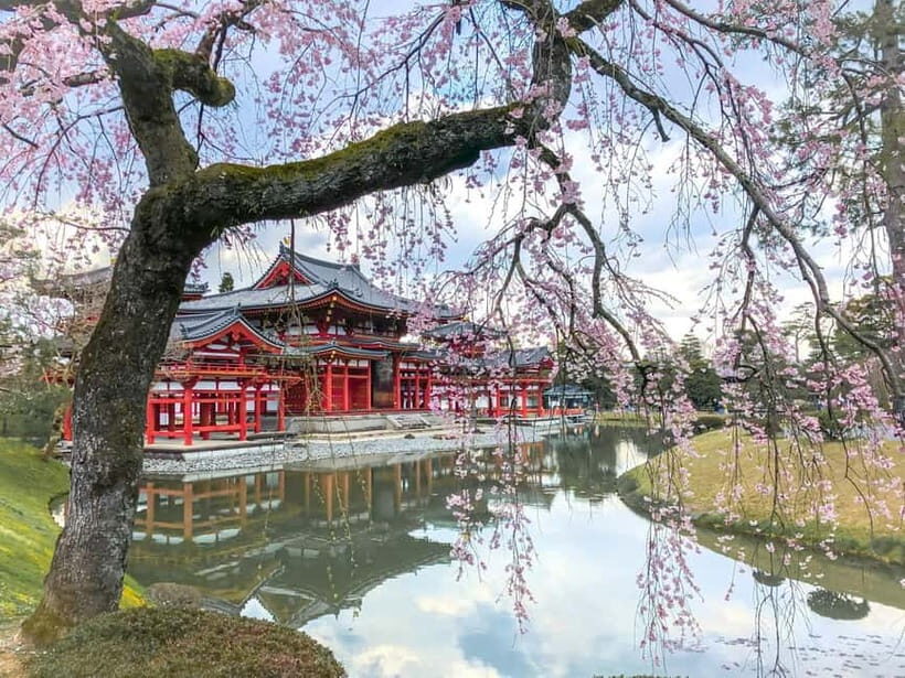 Osaka: Kyoto & Nara & Uji Historical and Scenic One-Day Tour - The Value and Who It’s Best For