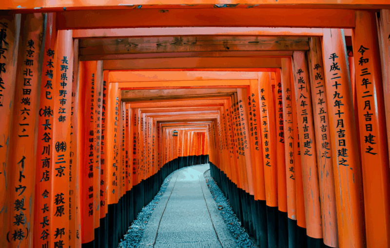 Osaka/Kyoto: Private Kyoto and Nara Day Trip - Frequently Asked Questions