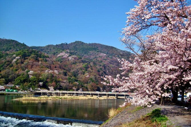 Osaka: Kyoto Scenic Day & Night Bus Tour with dinner (Kobe Beef) - A Full Breakdown of the Experience