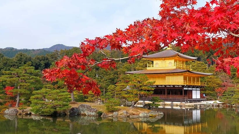 Osaka/Kyoto:Kinkakuji,Arashiyama,FushimiInariShrine,NaraPark - The Itinerary Breakdown: From Osaka or Kyoto to Four Iconic Destinations