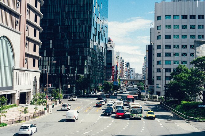Osaka Like a Local: Customized Private Tour - Exploring Osakas Highlights