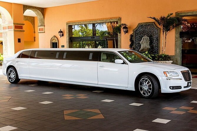 Osaka Limousine Photoshoot & Party Tour - Photoshoot Experience