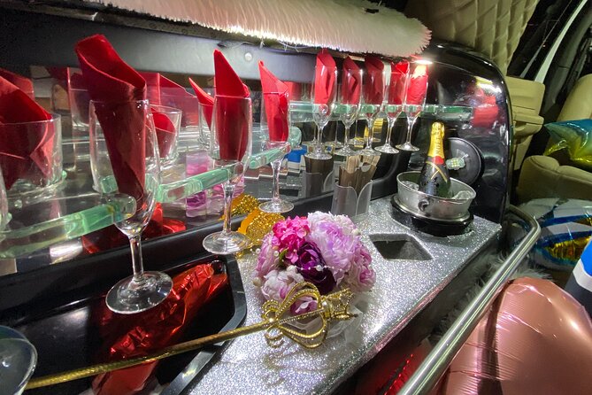 Osaka Limousine Photoshoot & Party Tour - Practical Tips
