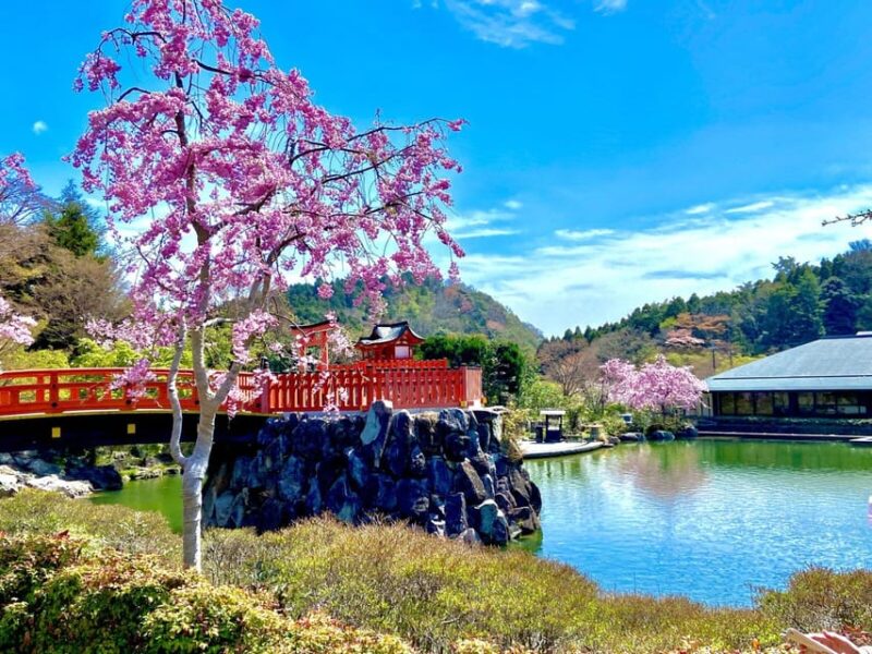 Osaka: Minoh, Katsuoji Temple, & Minoh Falls Full-day Tour - Katsuoji Temple: Exploring Gardens and Daruma Dolls