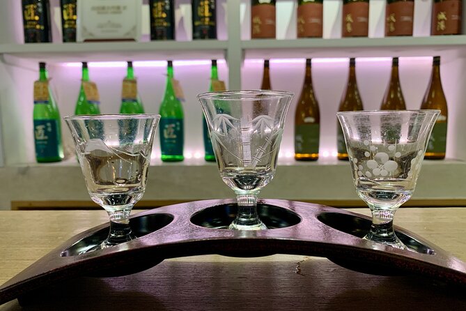 Osaka Nights: Ultimate Pub Bar Crawl With an Expert Local Guide - Unexpected Encounters and Memorable Moments