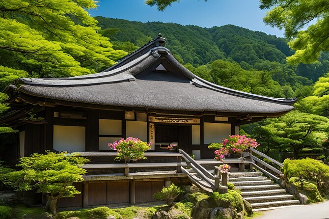 Osaka or Kyoto Private Day Tour With English Driver Free Pickup - Inclusions and Exclusions